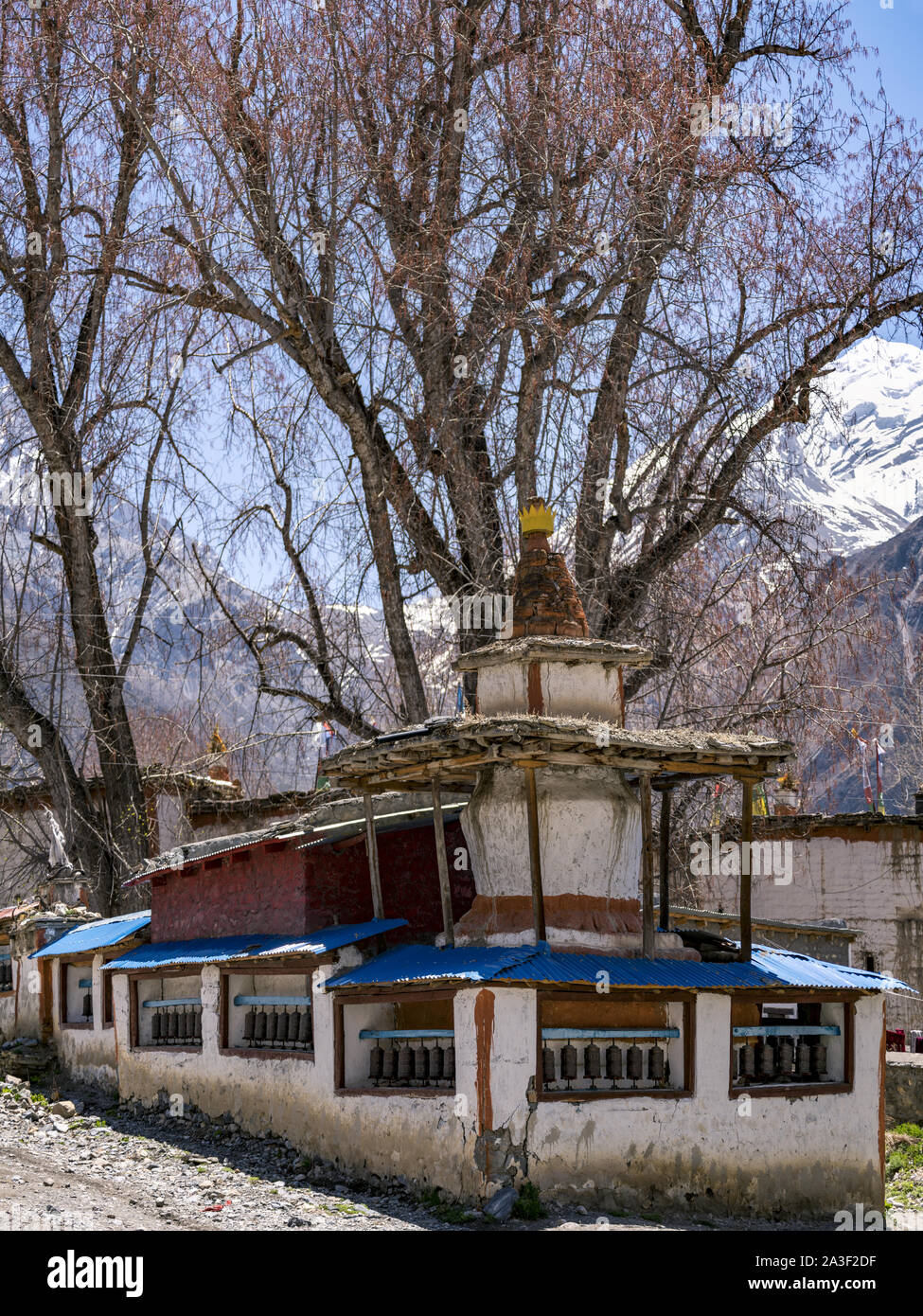 Jhong hi-res stock photography and images - Alamy