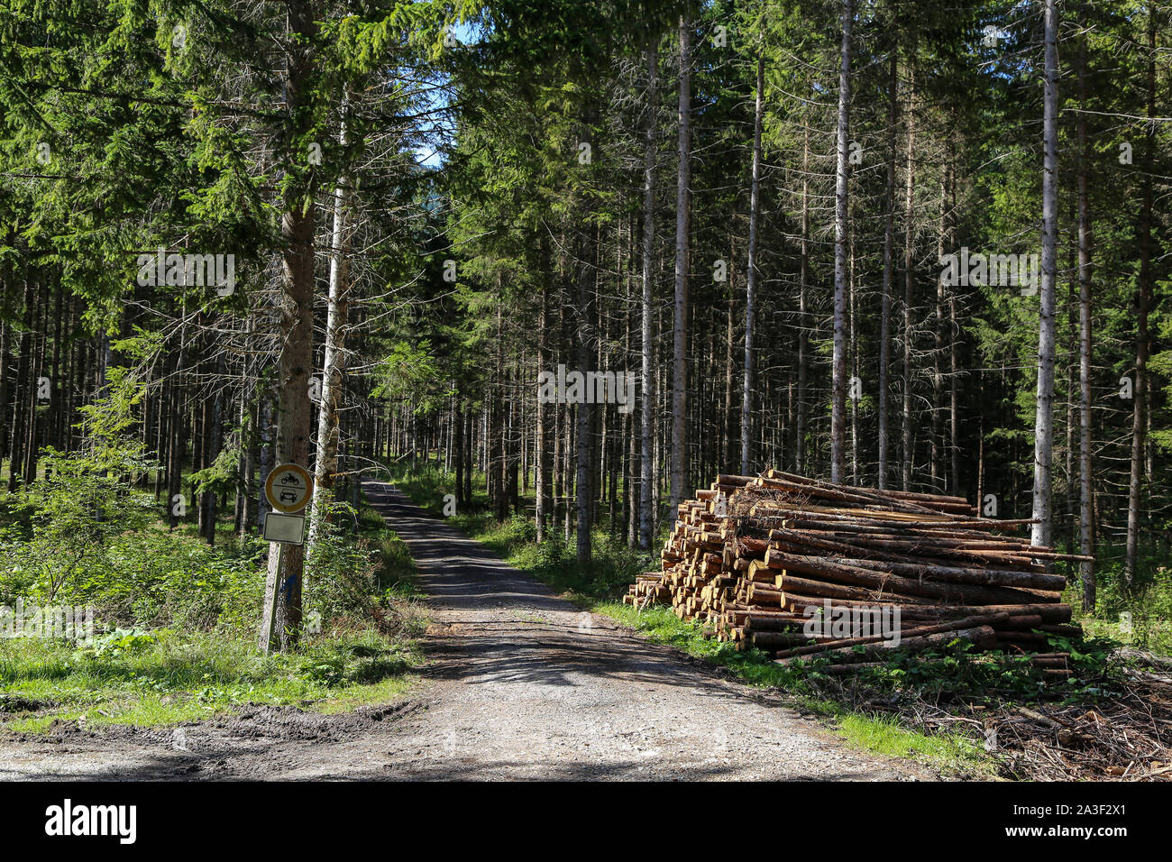 Logging truck on dirt road hi-res stock photography and images - Alamy