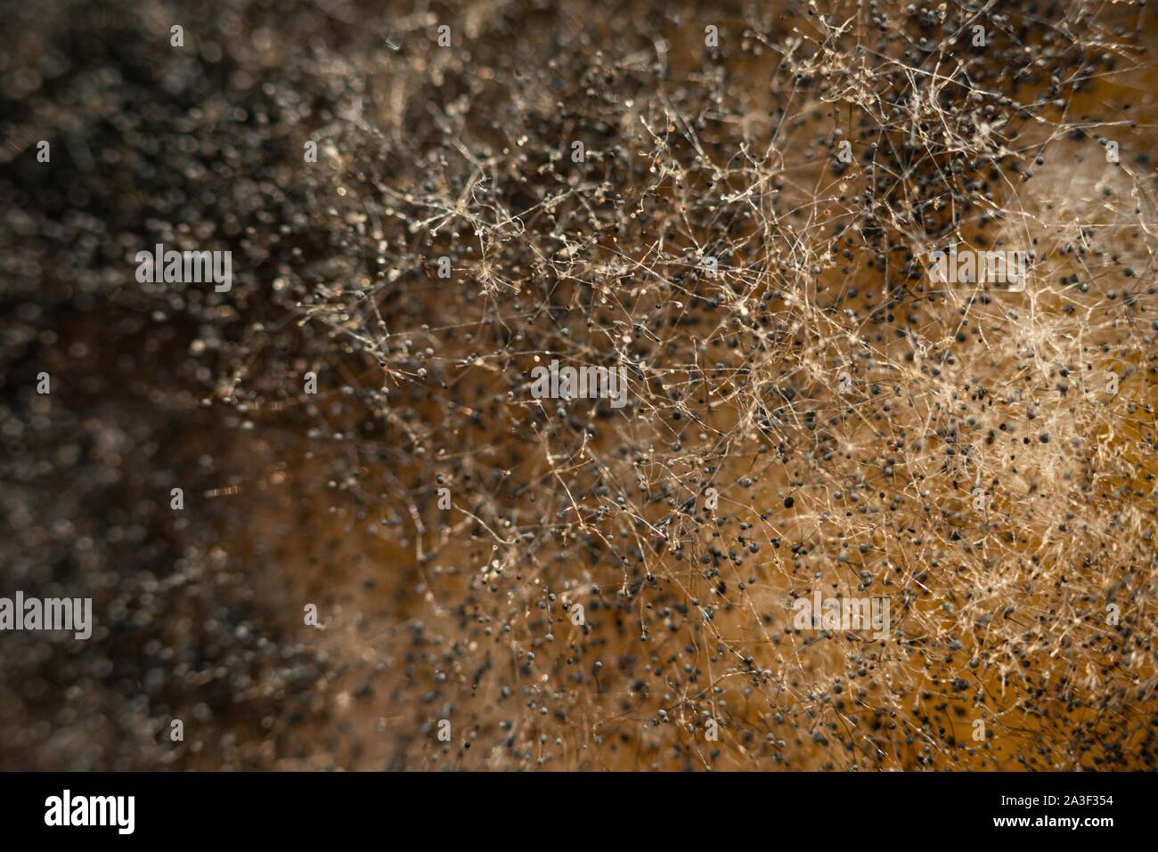 Rot data hi-res stock photography and images - Alamy