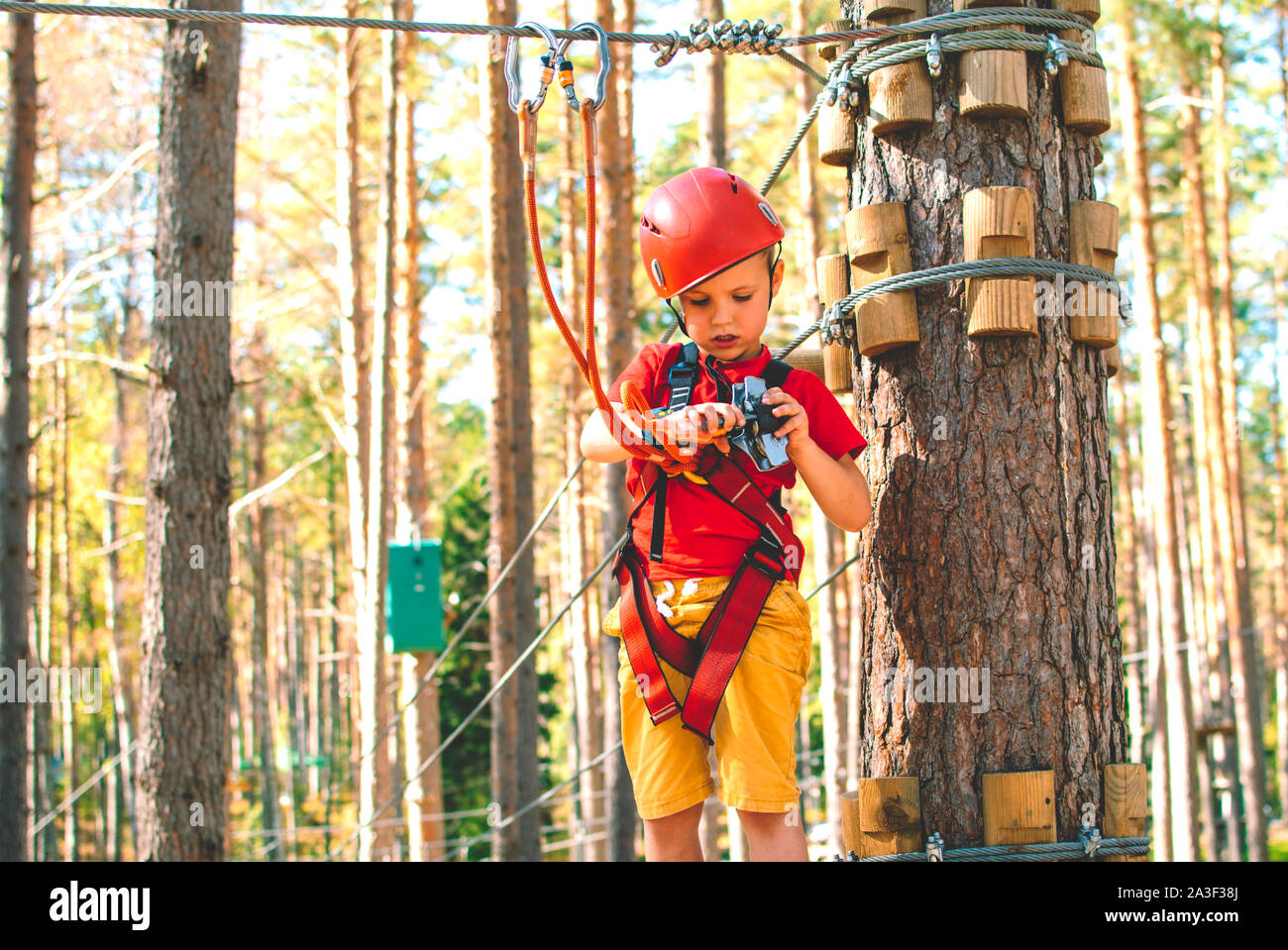 Little boy with climbing gear climbing rope trail between pine trees in ...