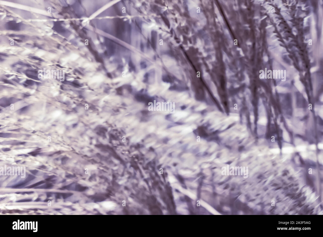 Rural landscape, pastel backdrop and environmental design concept ...