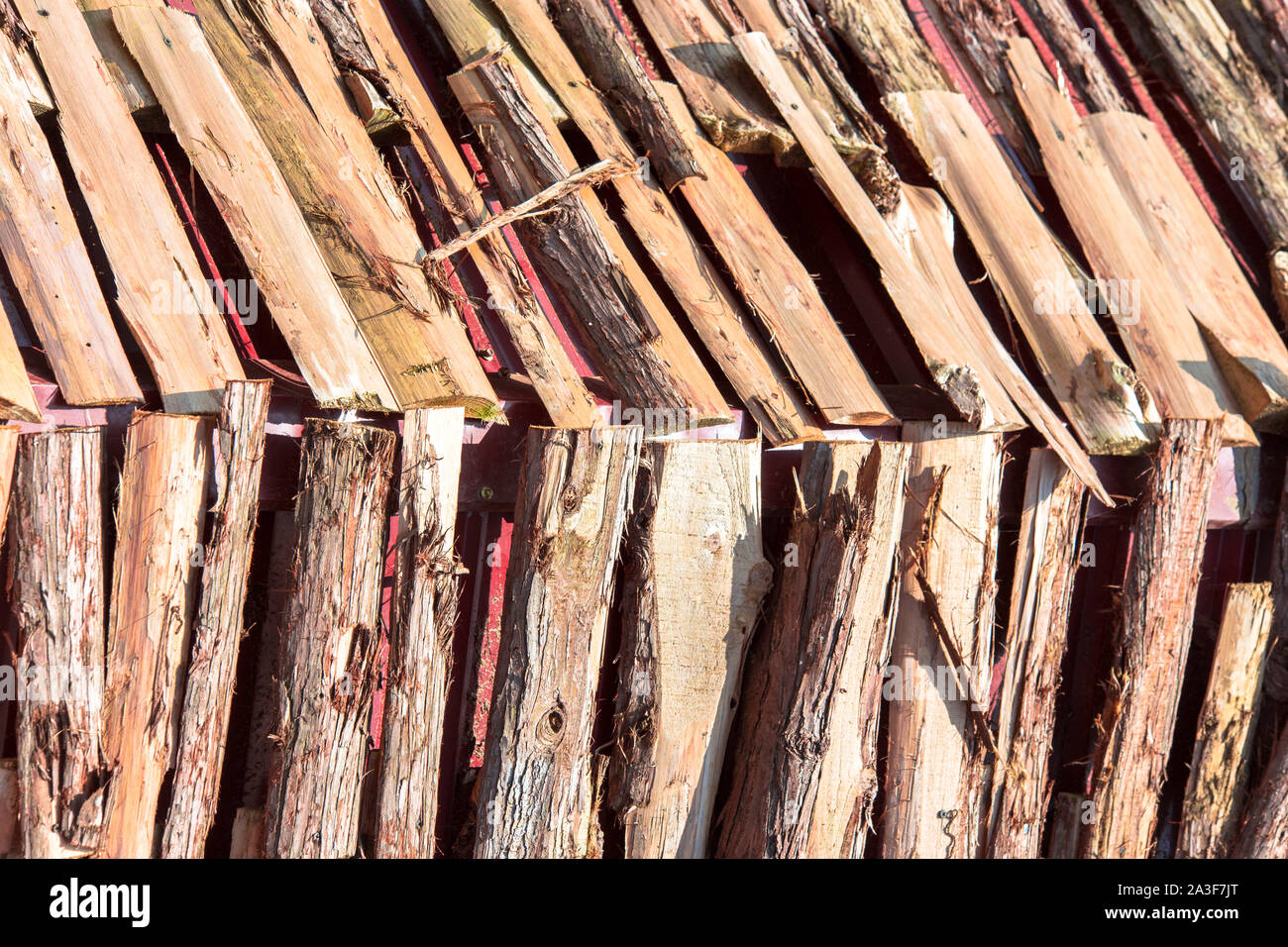 Chopped natural tree wood and bark piled and put out to dry under the ...