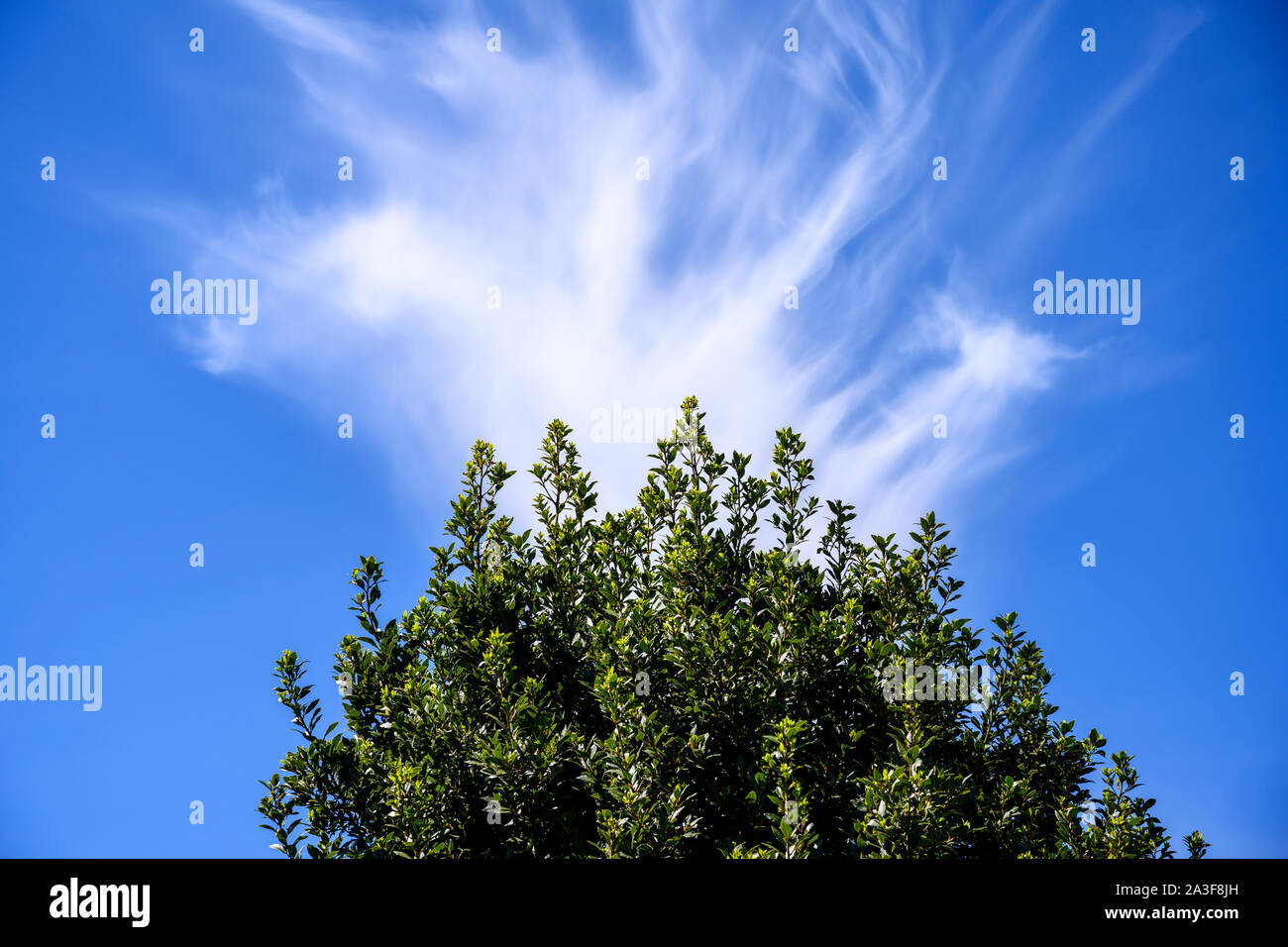 Wispy cloud formation Stock Photo - Alamy