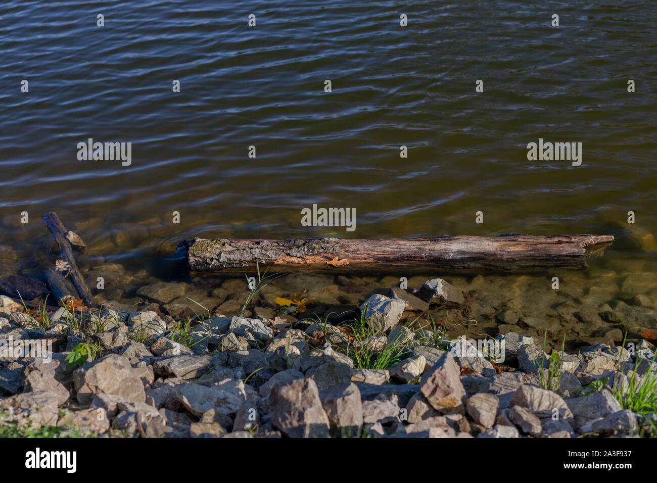 Stone shore by the lake. A drainage log in the water. Floating trunk. A ...