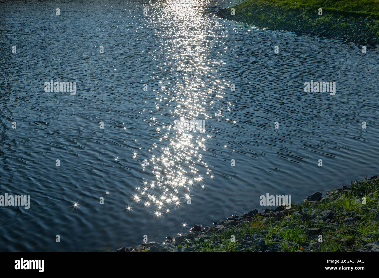 Sunlight On Pond