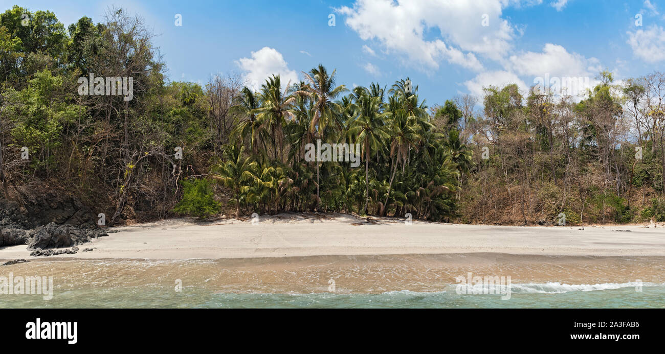 beautiful sandy beach on the island cebaco panama Stock Photo - Alamy
