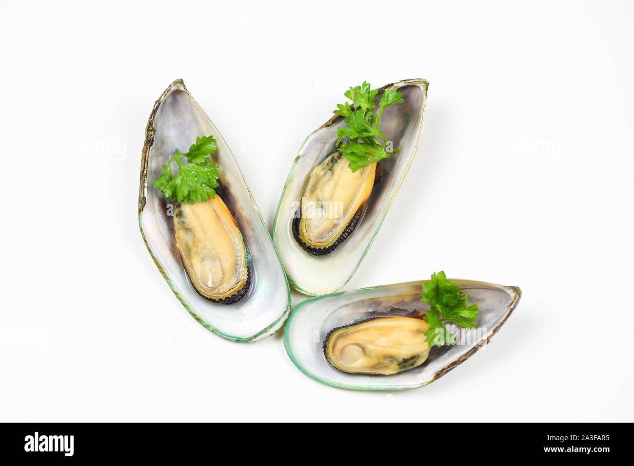 Green mussel shell with parsley / Mussels isolated on white background ...