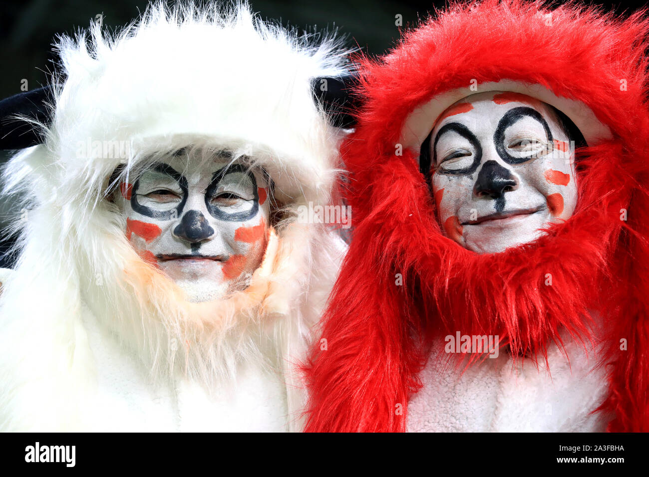 Fans show their support ahead of the 2019 Rugby World Cup Pool B match ...