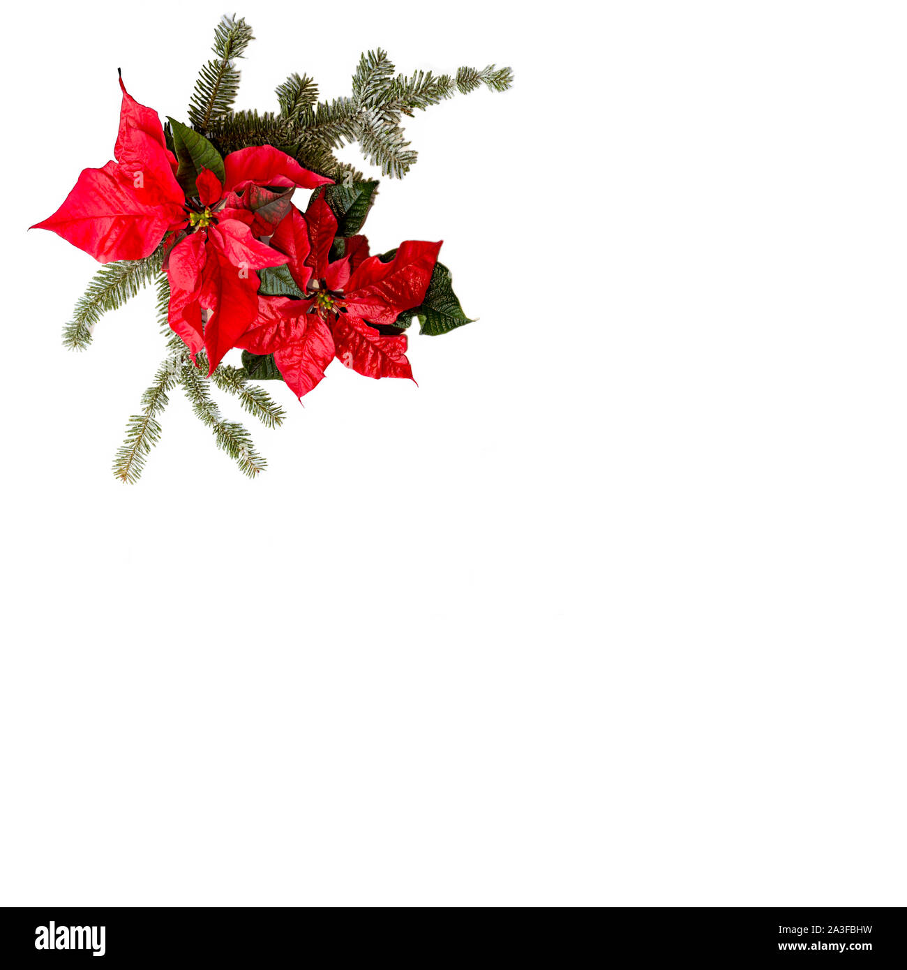 Red Snowflake Border Corner