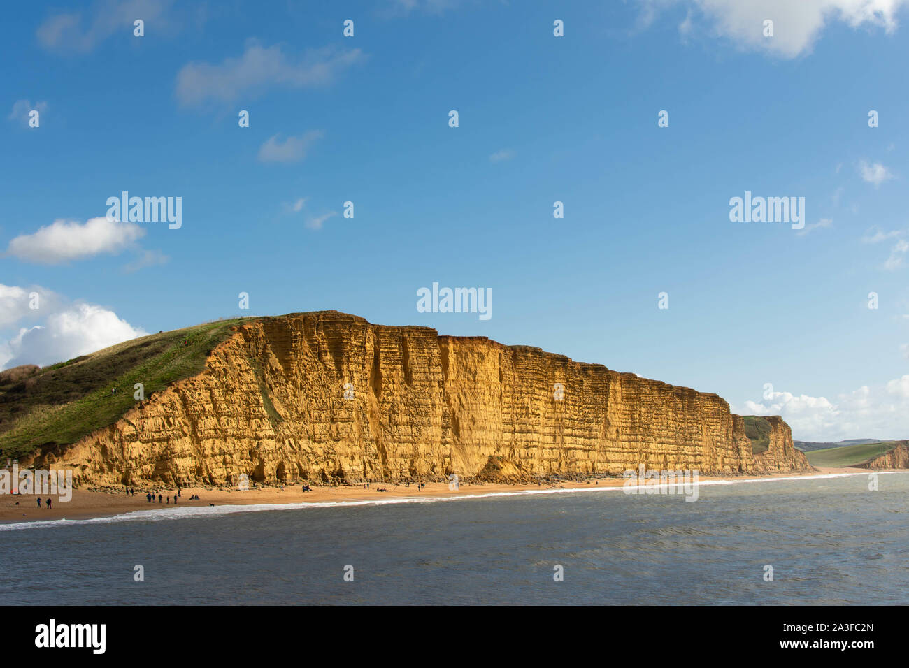 The cliffs of West Bay in Dorset Stock Photo - Alamy