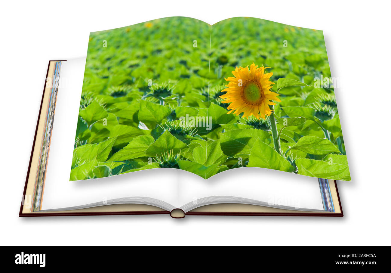 Learningone person hi-res stock photography and images - Alamy