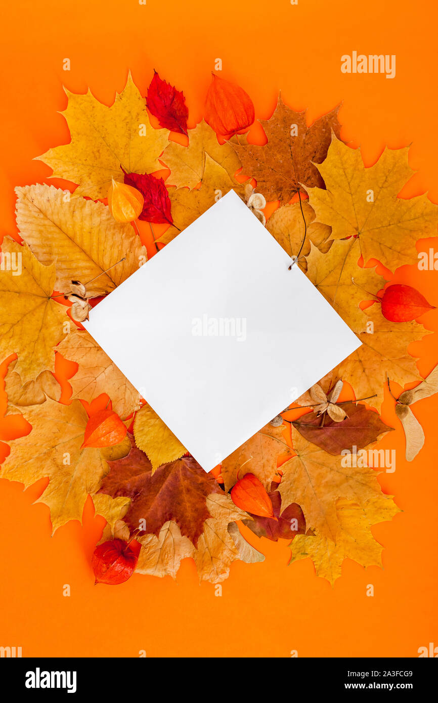 Autumn flat lay composition with postcard mockup and dry leaves on bold ...