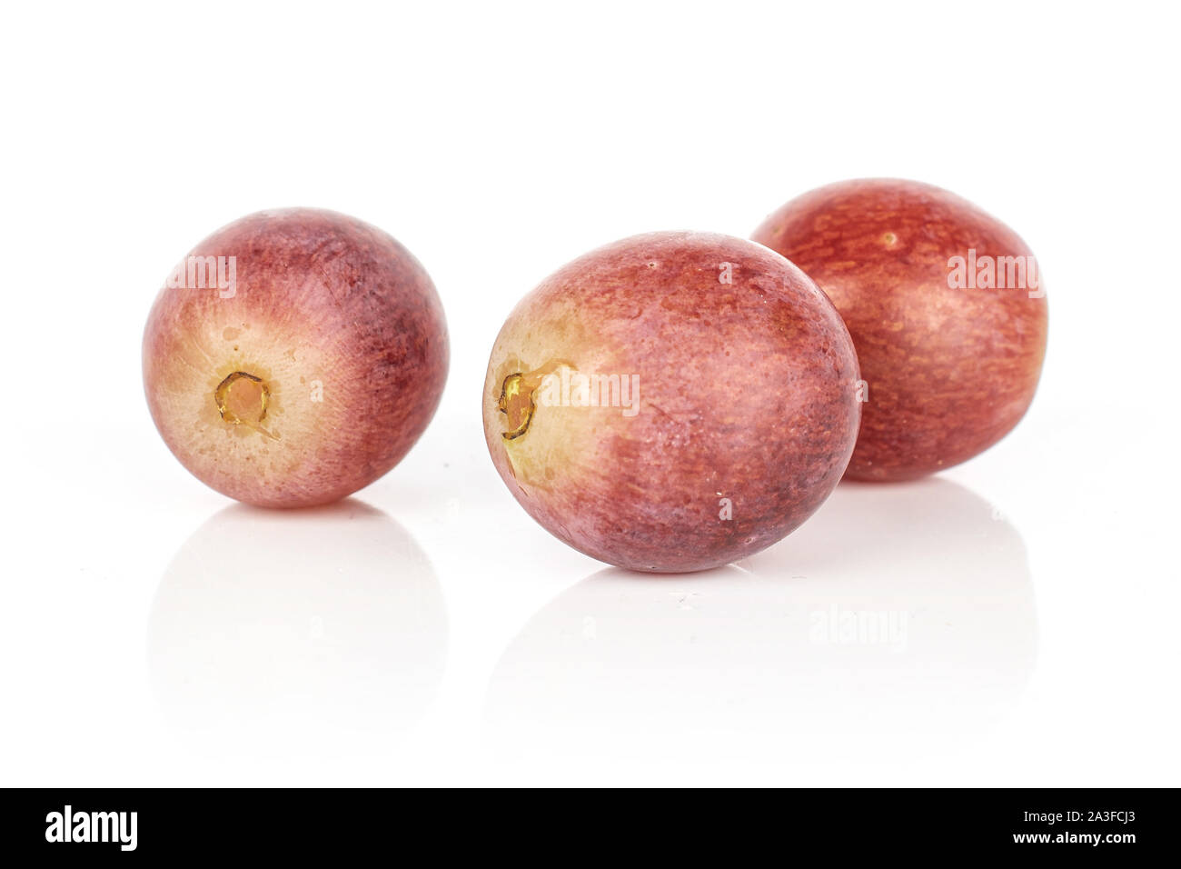Group of three whole fresh purple grape rose isolated on white ...