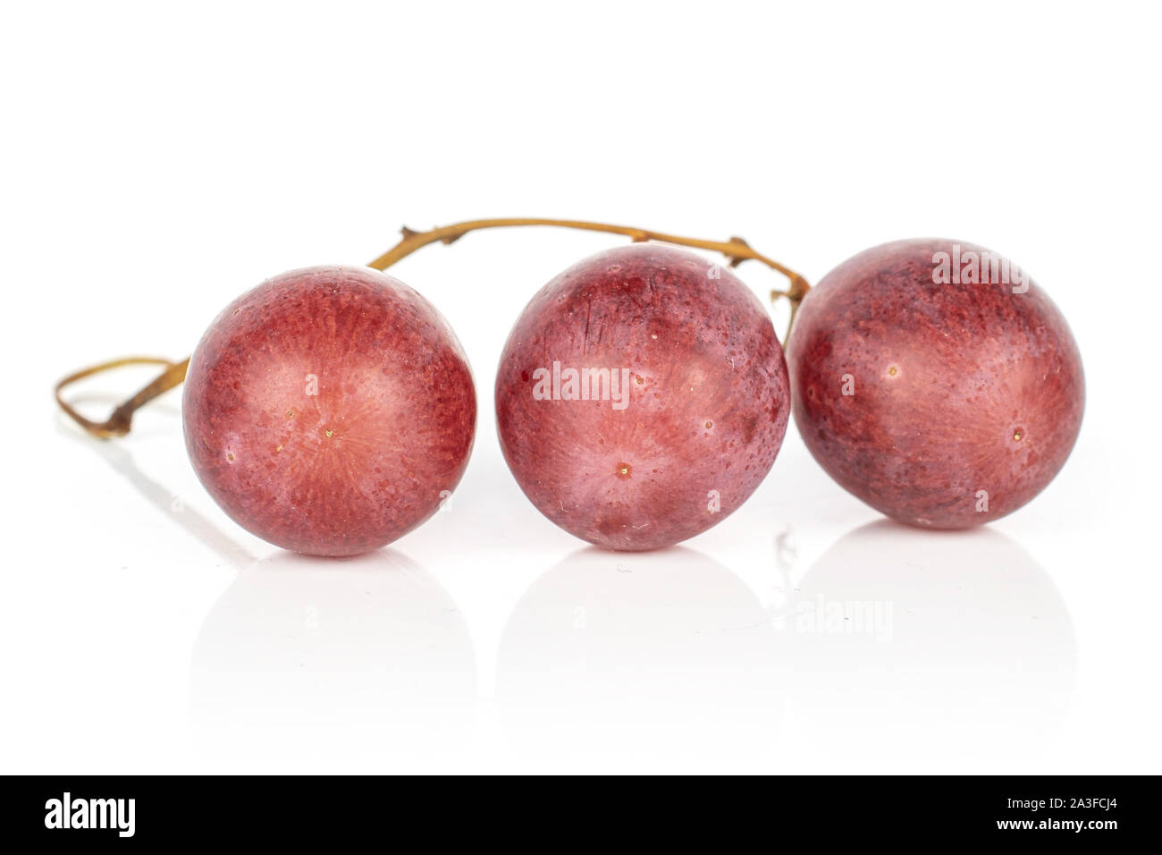 Group of three whole fresh purple grape rose isolated on white ...
