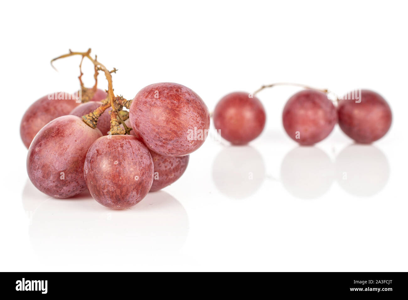 Lot of whole fresh purple grape rose front focus isolated on white ...