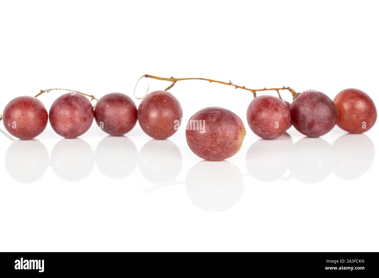 Group of eight whole fresh purple grape rose in row isolated on white ...