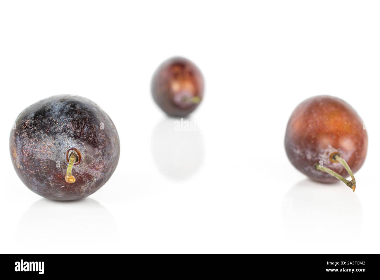 Mottled dark purple Cut Out Stock Images & Pictures - Alamy