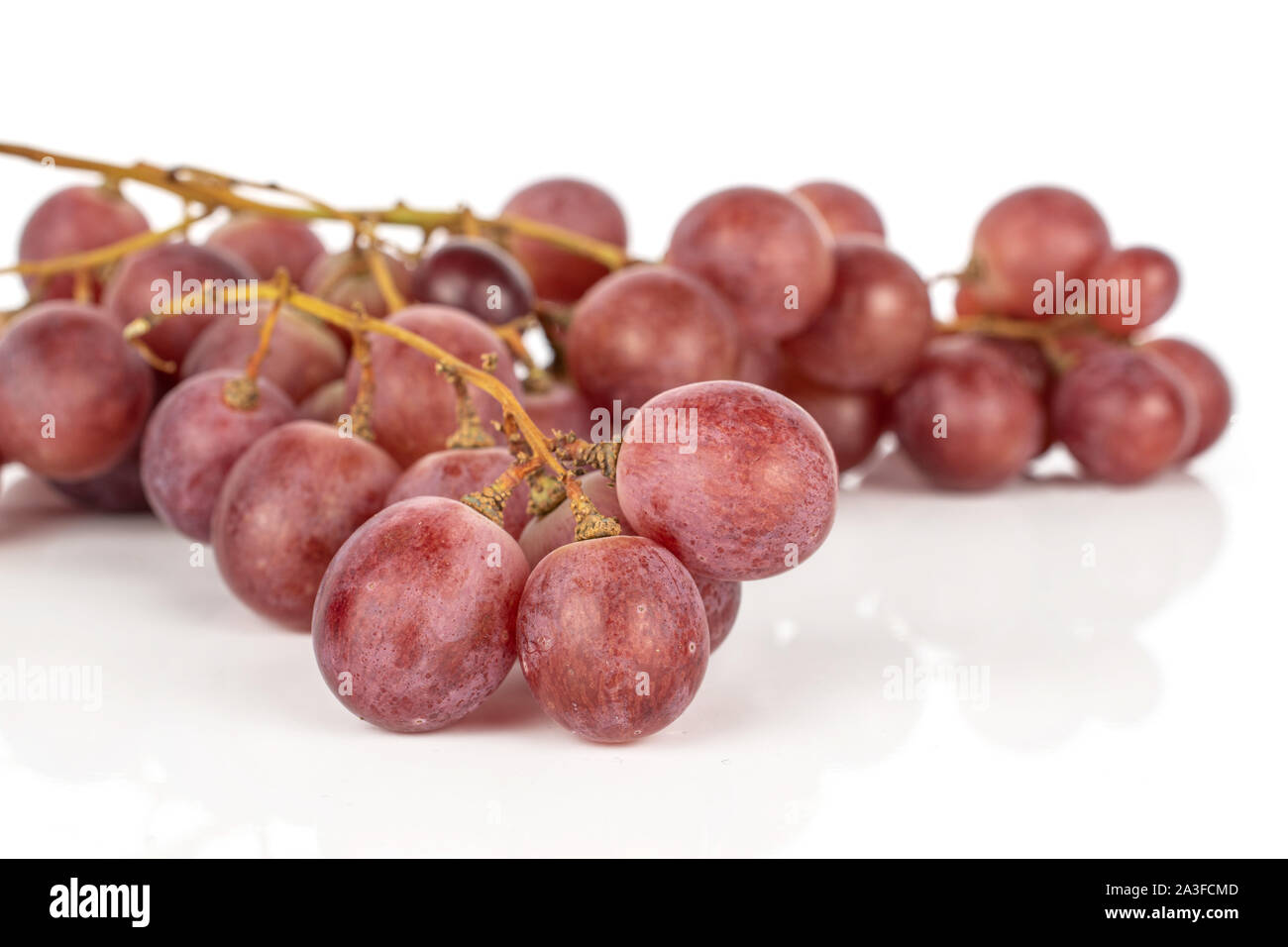 Lot of whole fresh purple grape rose cluster isolated on white ...