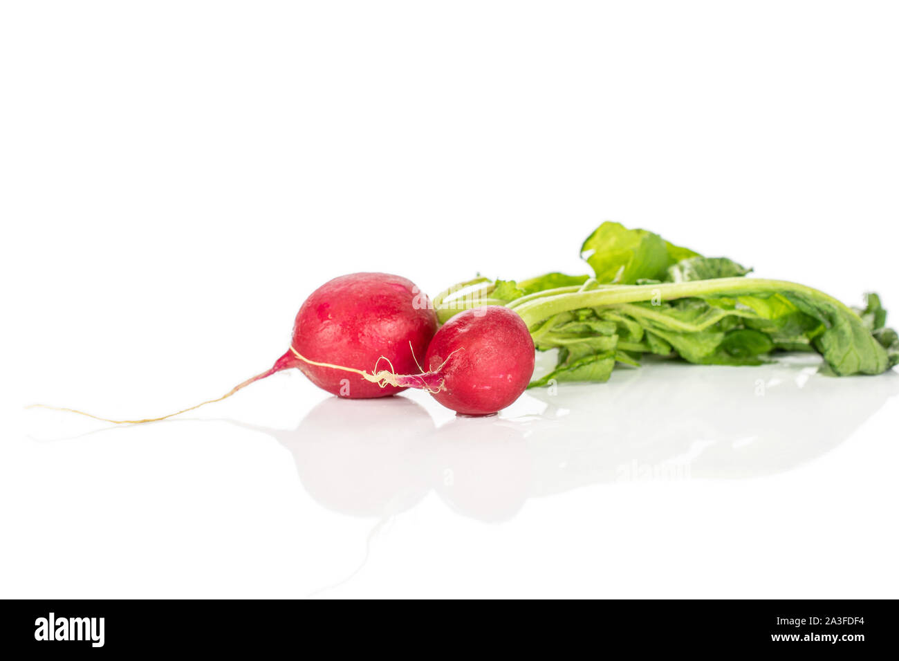 Group of two whole fresh red radish isolated on white background Stock ...