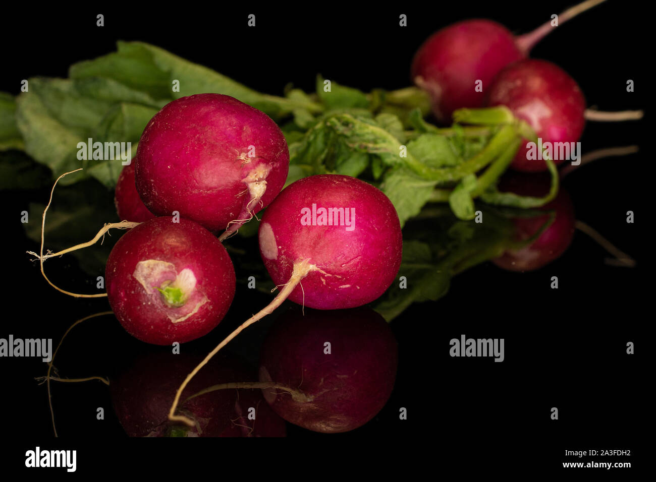 Group of five whole fresh red radish isolated on black glass Stock ...
