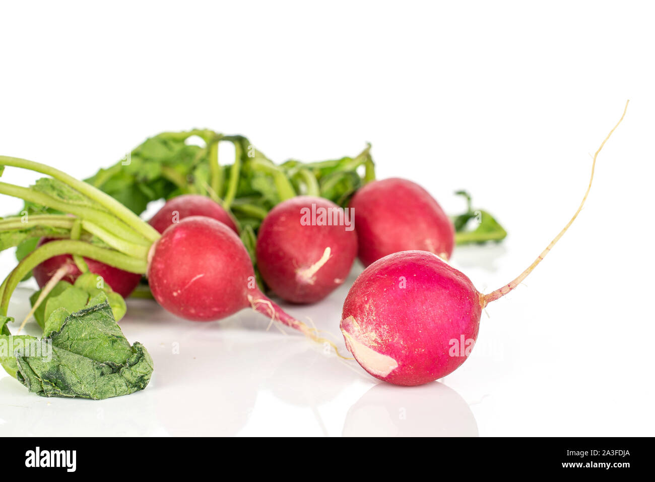 Group of four whole fresh red radish isolated on white background Stock Photo - Alamy
