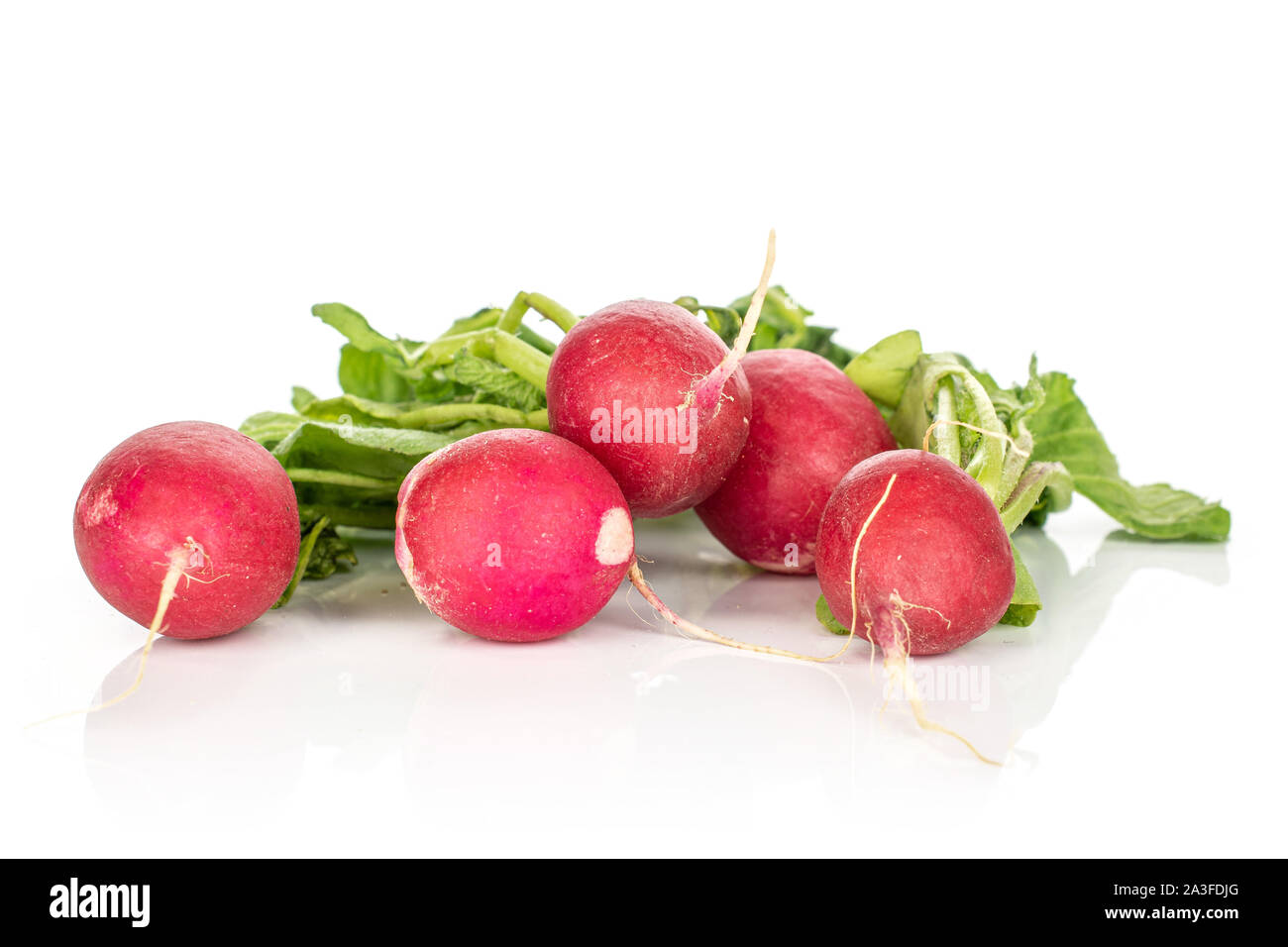 Group of five whole fresh red radish isolated on white background Stock ...