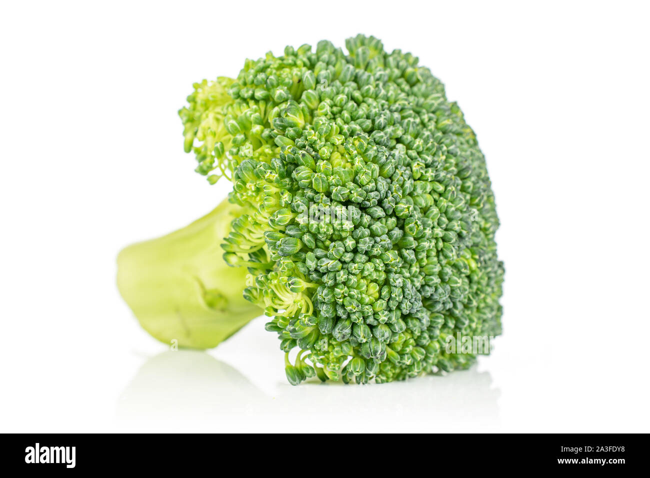 One whole fresh green broccoli front focus isolated on white background ...
