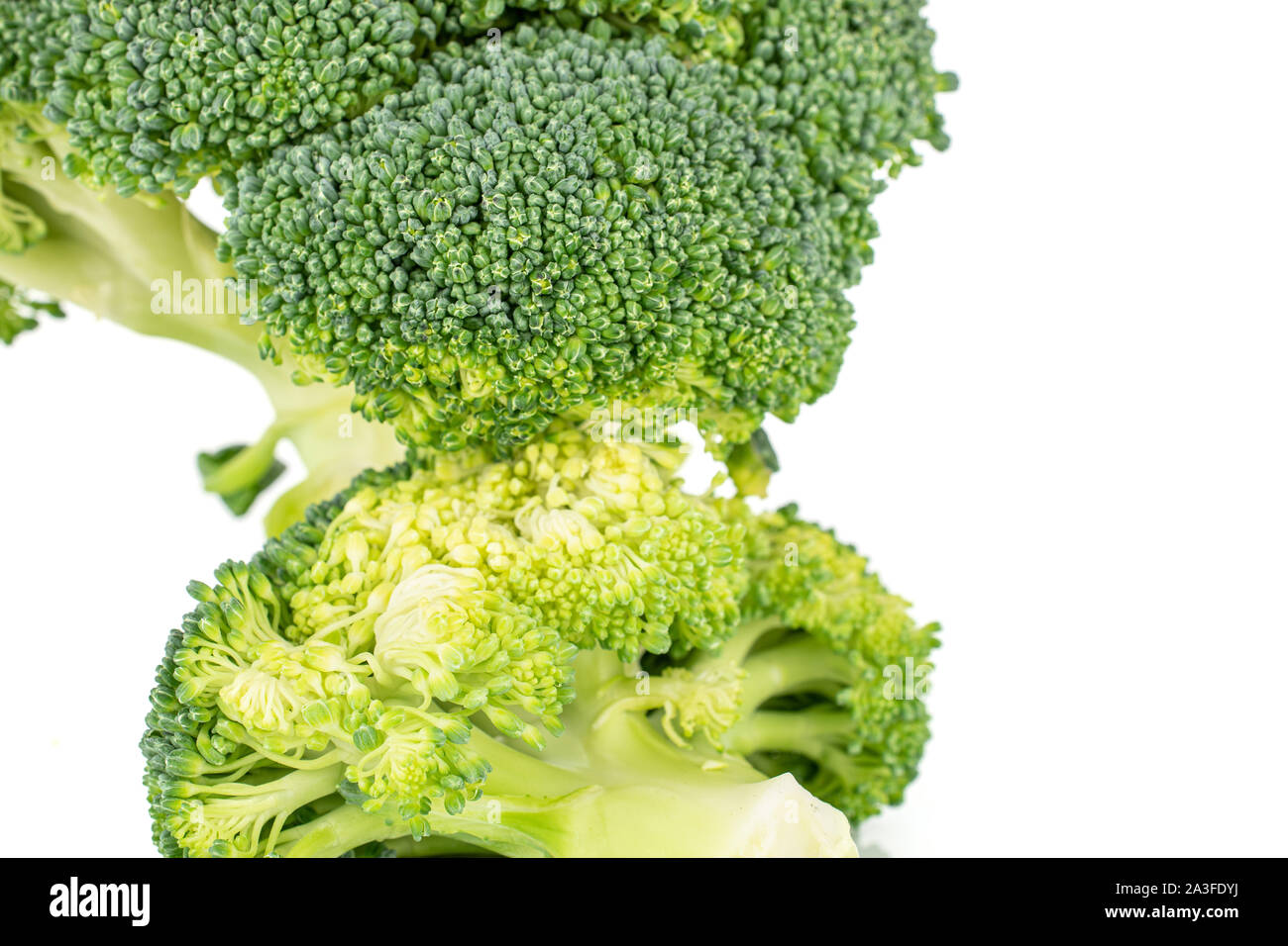 Group of two whole light fresh green broccoli front focus isolated on ...