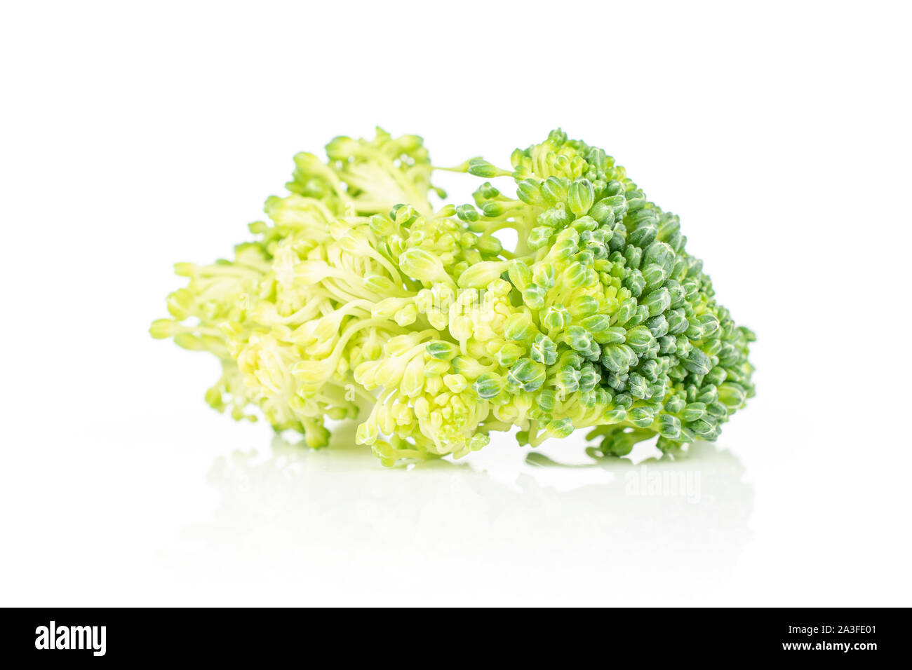 One piece of fresh green broccoli isolated on white background Stock ...