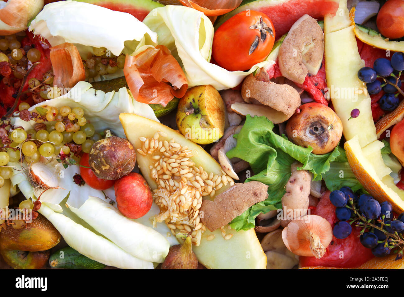 Different trash. Garbage sorting. Domestic waste for compost from ...