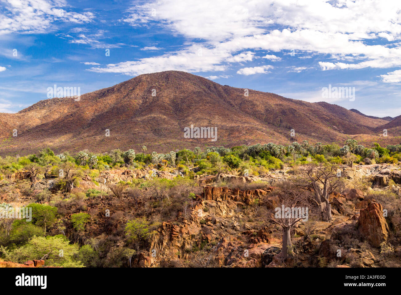 View over Kunene region with palm trees and baobab trees to Angola ...