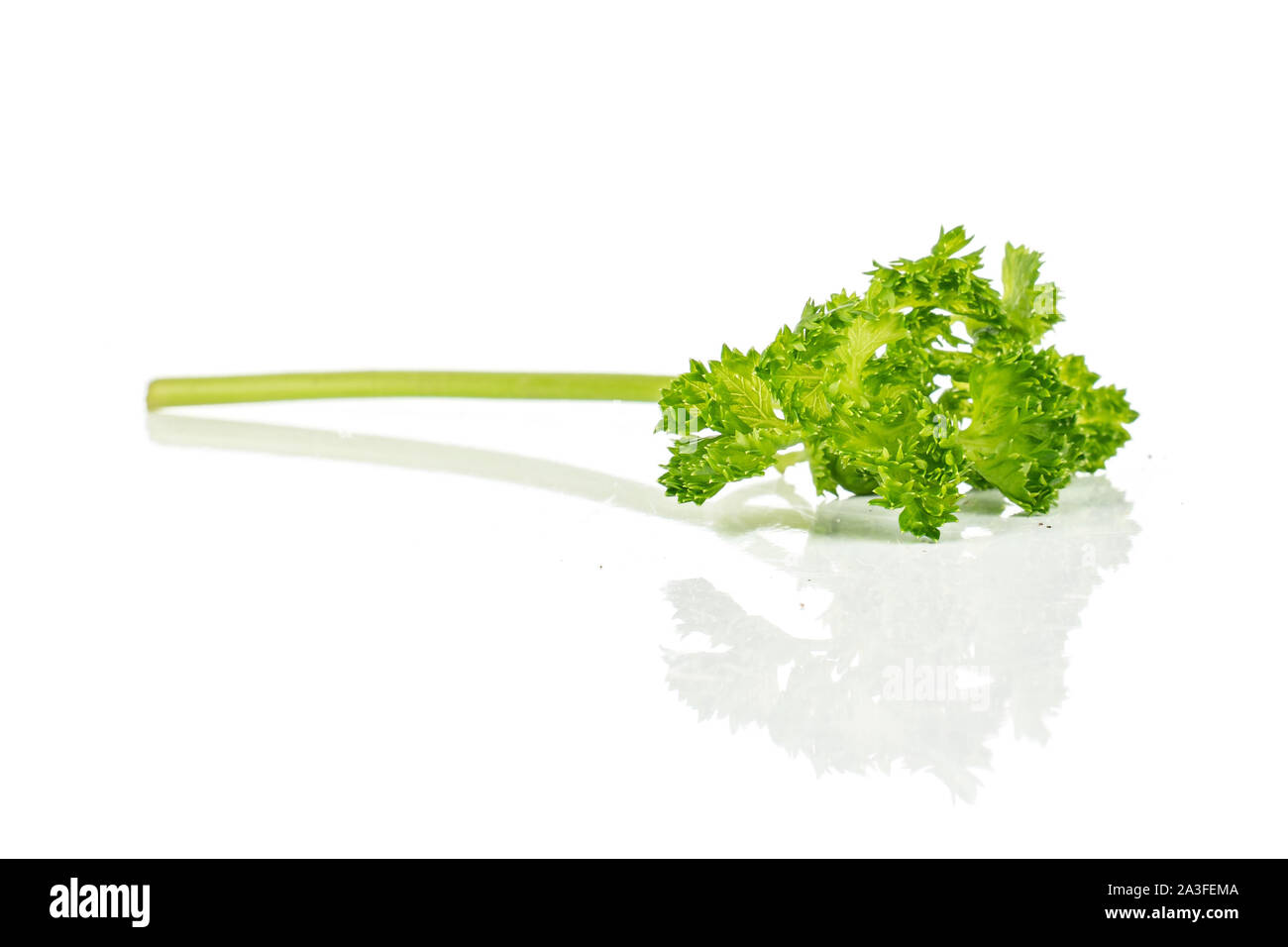 One piece of fresh green parsley isolated on white background Stock ...