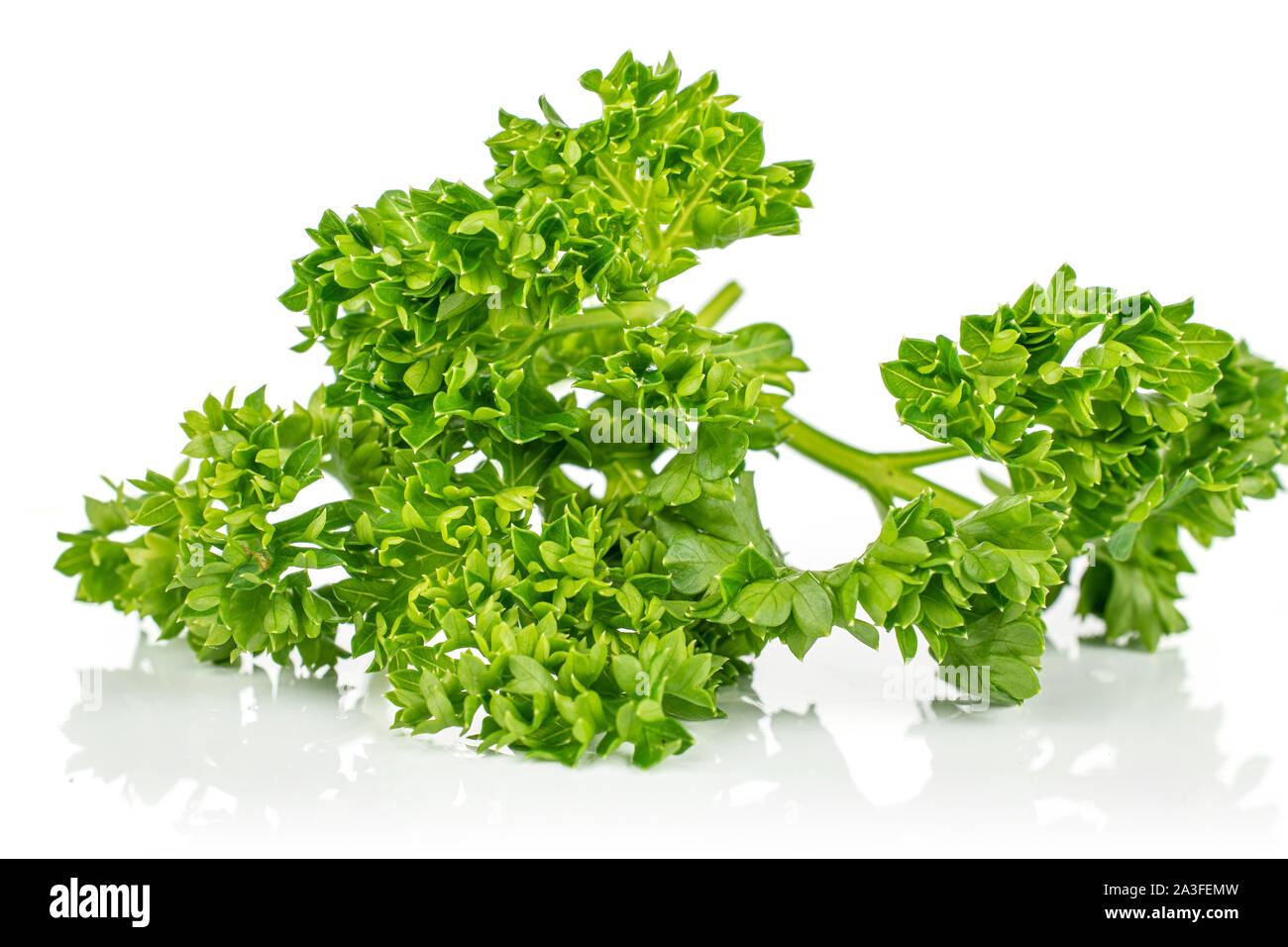 One whole light fresh green parsley isolated on white background Stock ...