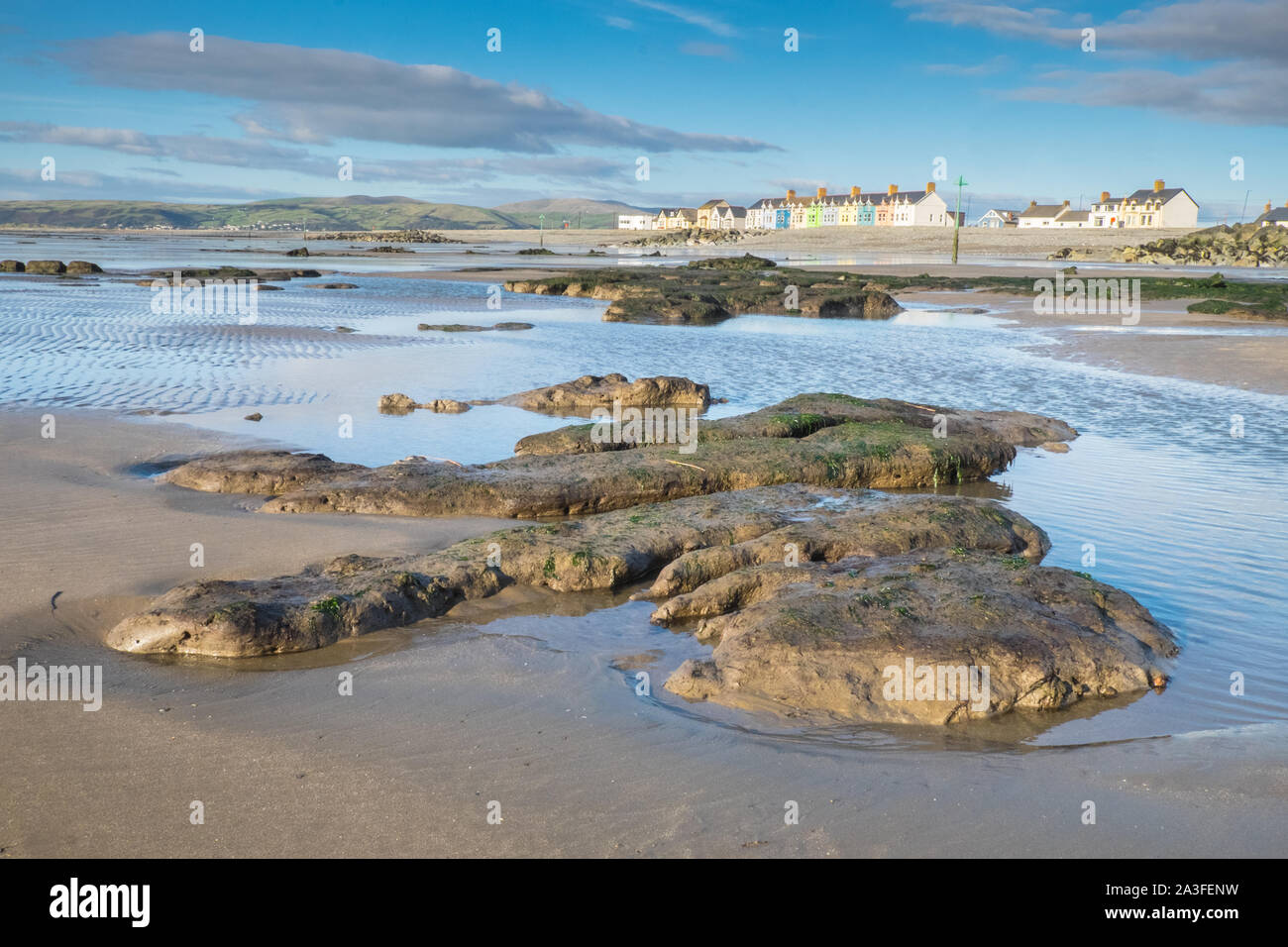Submerged forest borth west wales hi-res stock photography and images ...