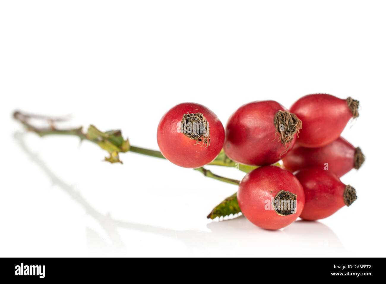 Group of six whole fresh red rosehip isolated on white background Stock ...