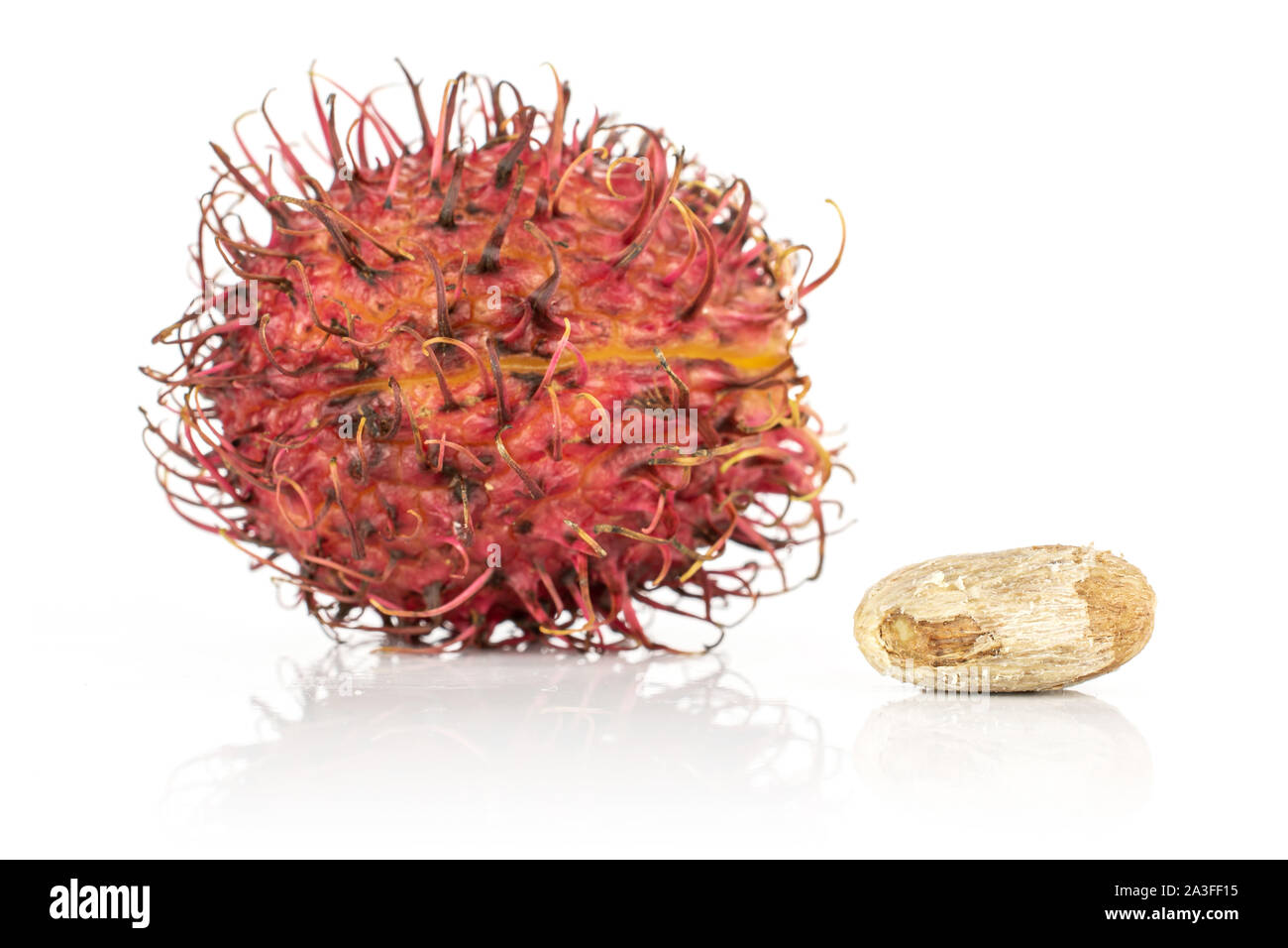 Group of one whole one piece of fresh red rambutan isolated on white ...