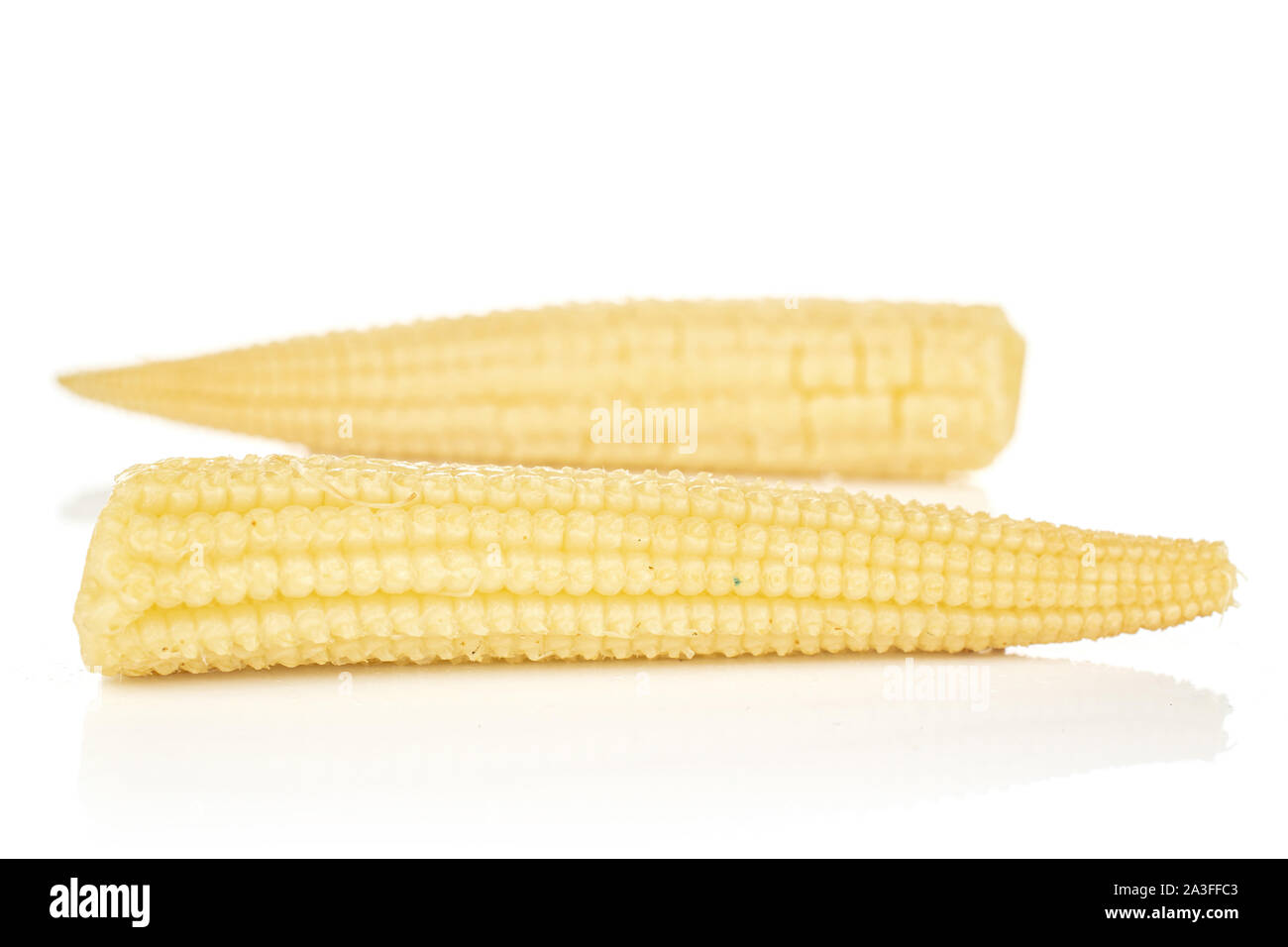 Group of two whole arranged baby yellow corn isolated on white ...
