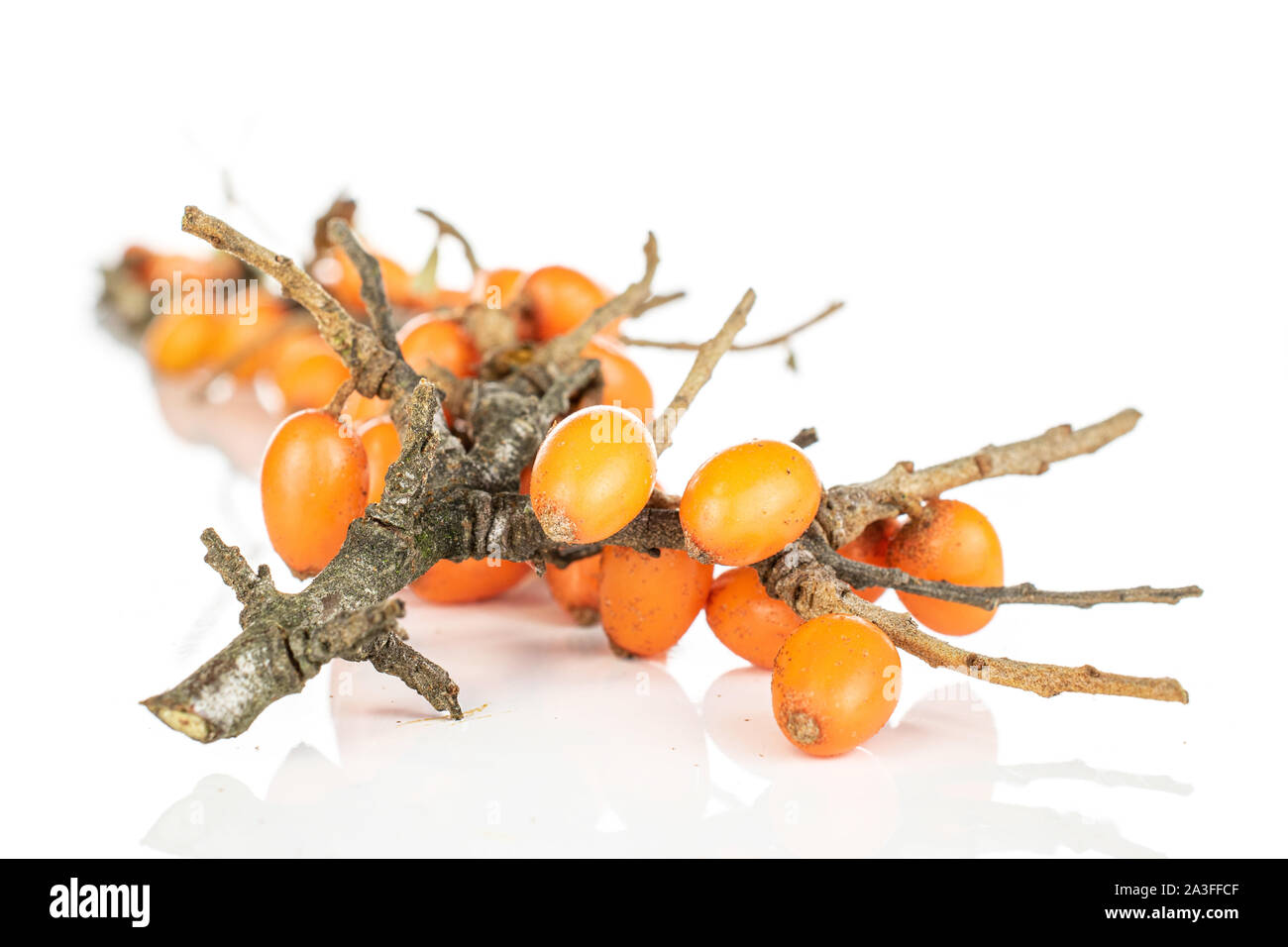 Lot of whole light ripe orange sea buckthorn berry bunch isolated on ...