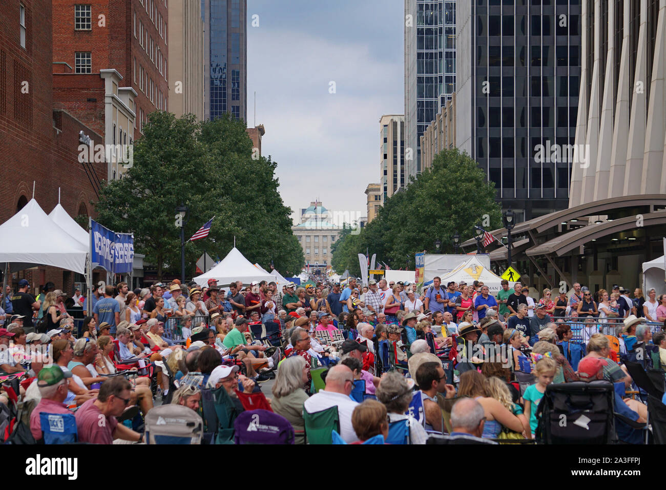 Annual bluegrass hi-res stock photography and images - Alamy