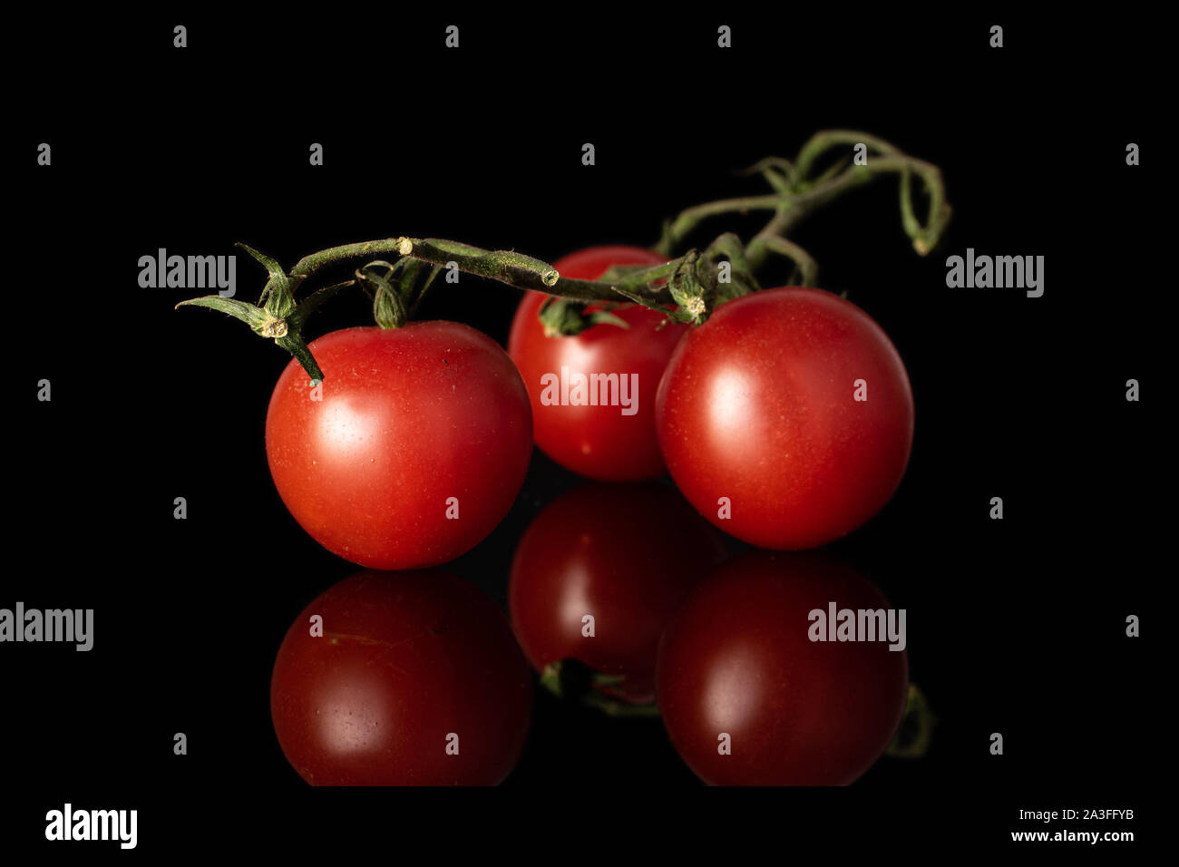 Group of three whole fresh red tomato cluster isolated on black glass ...