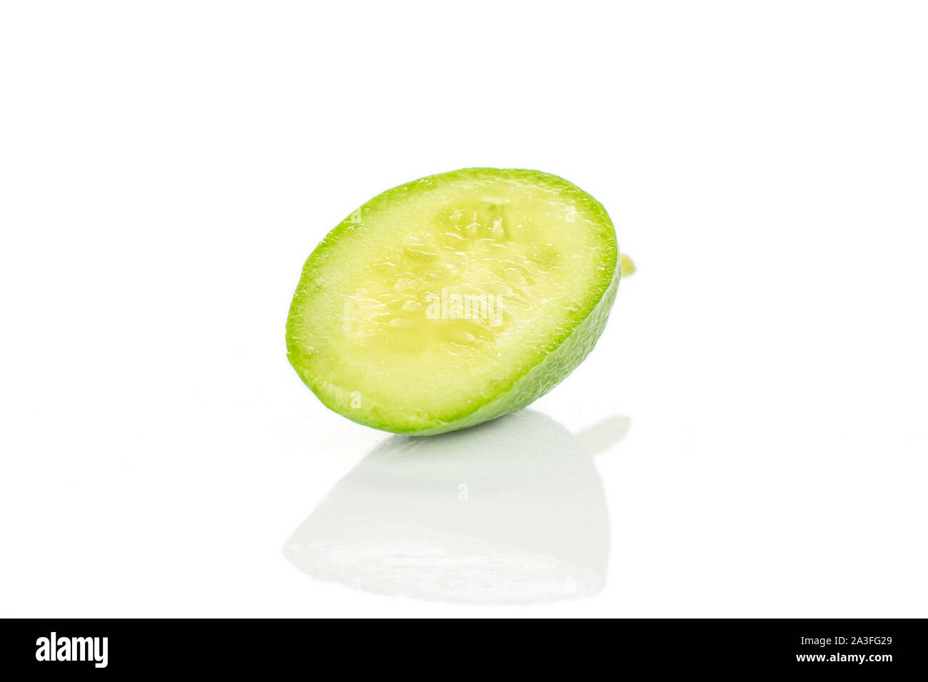 One piece of mini green cucumber front focus isolated on white ...