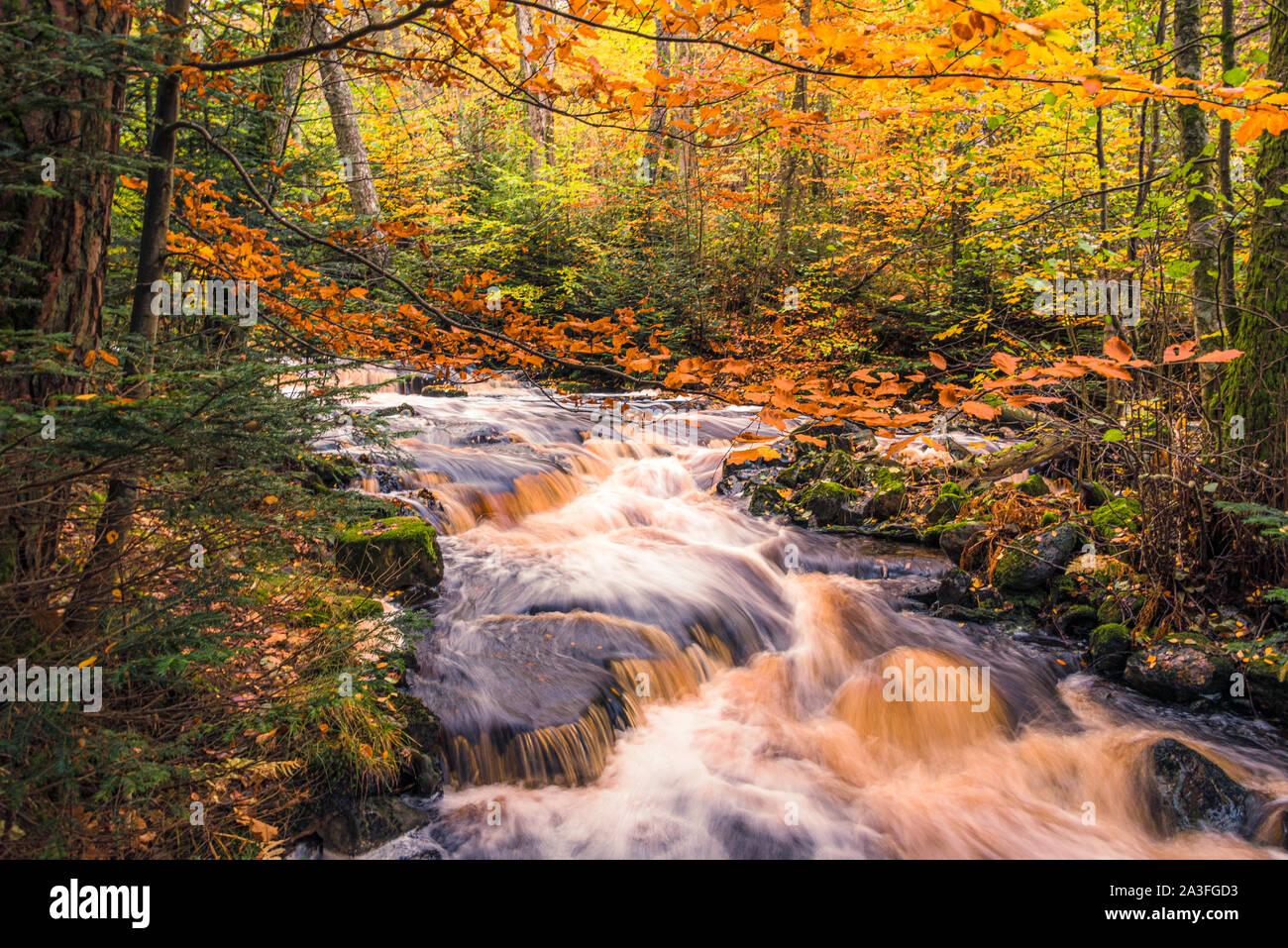 Halleberg and hunneberg hi-res stock photography and images - Alamy
