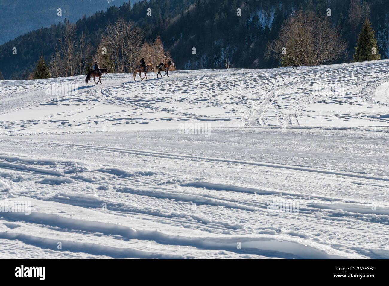 Sauris dam hi-res stock photography and images - Alamy