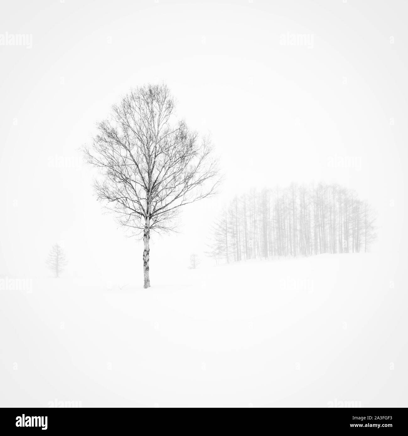 Hokkaido japan winter Black and White Stock Photos & Images - Alamy