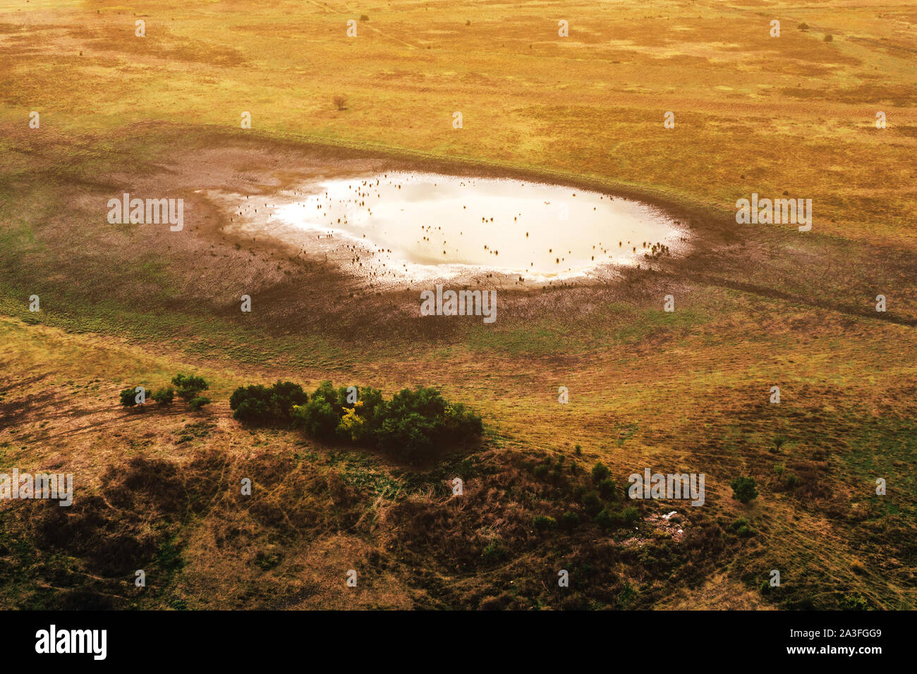 Aerial view of pond hi-res stock photography and images - Alamy