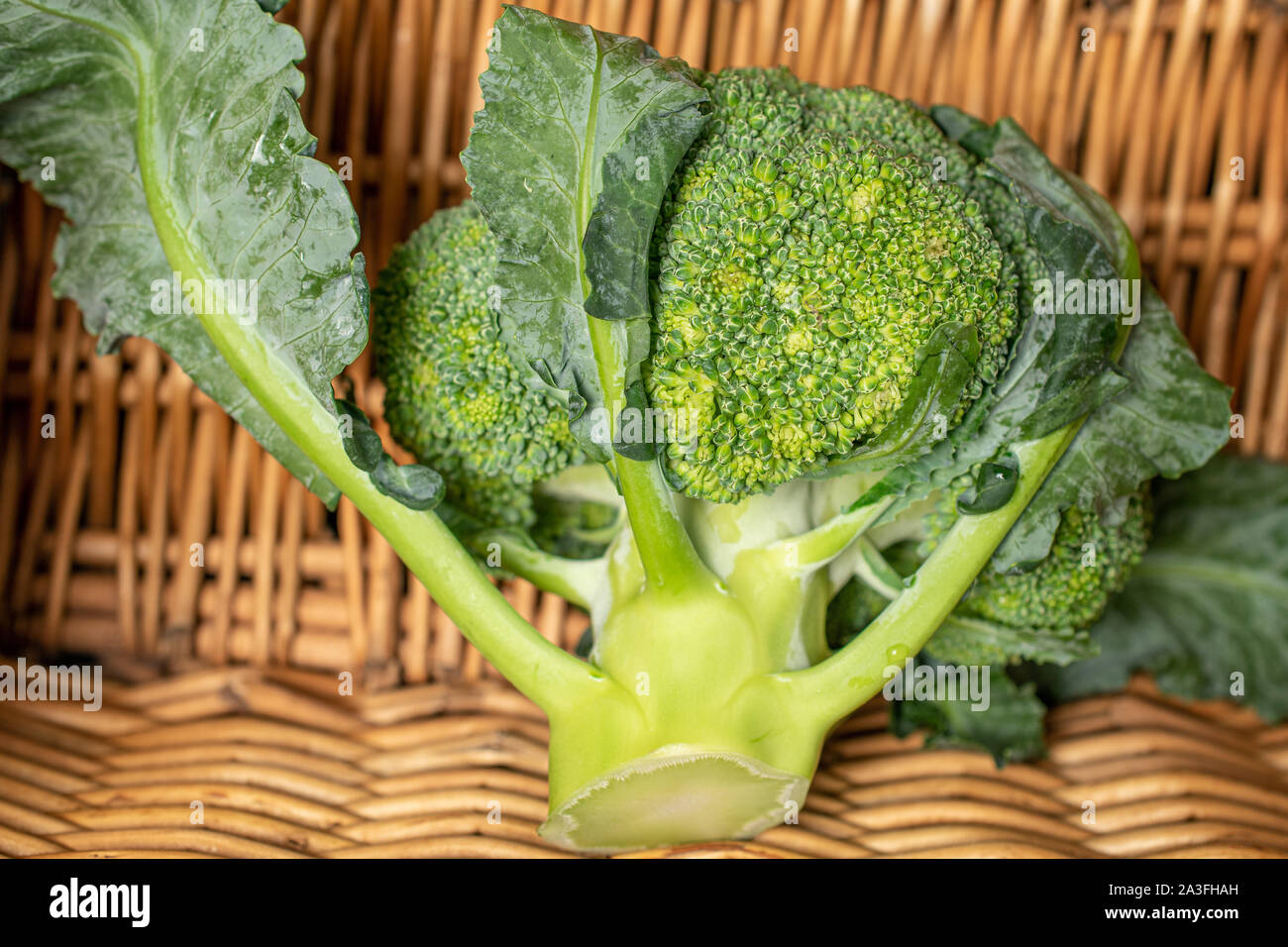 One whole fresh green broccoli with leaves with braided rattan behind ...