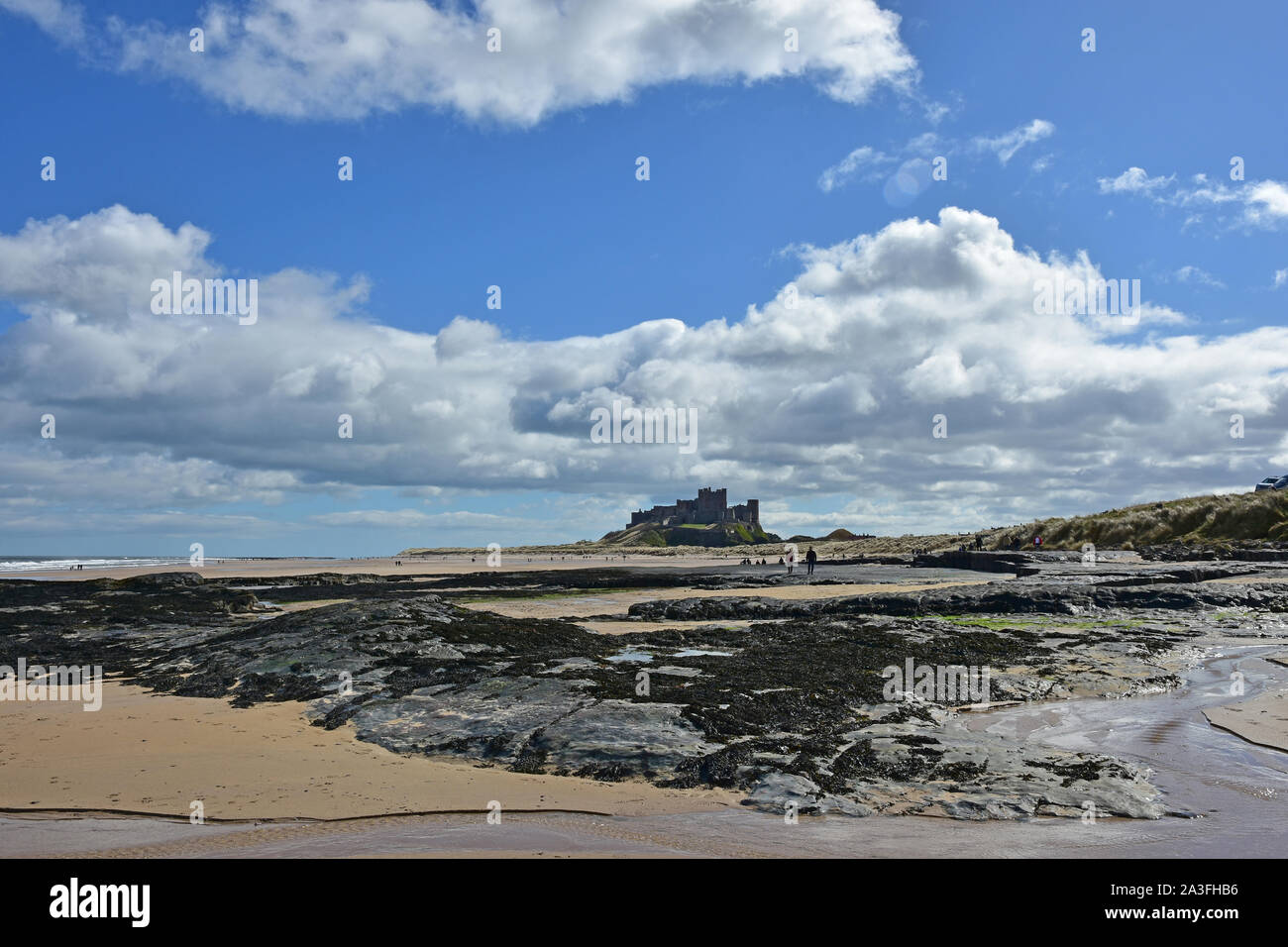 Bamburgh castle in Spring, Northumberland Stock Photo - Alamy
