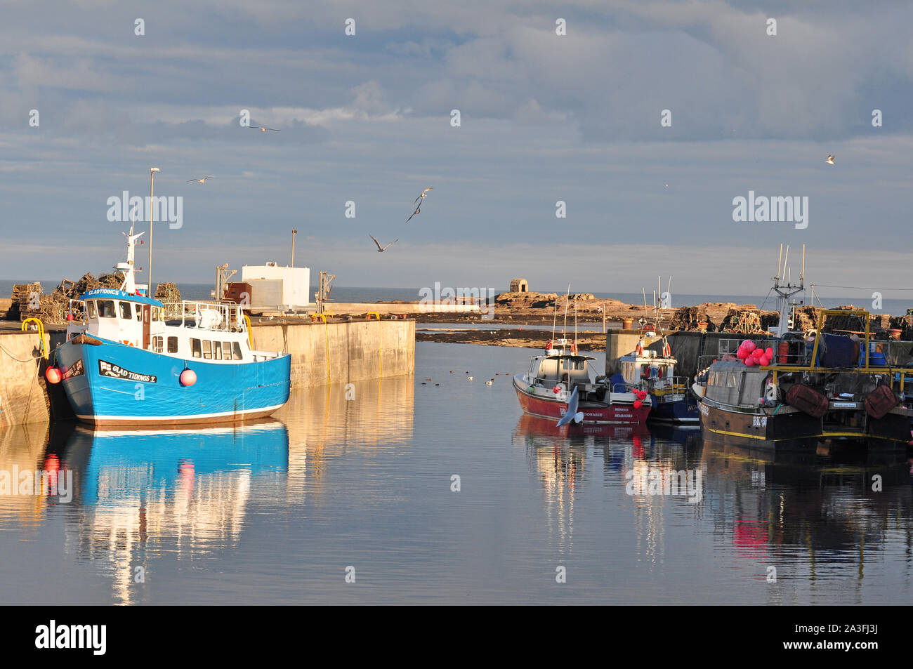Boats, Seahouses harbour 2, Northumberland Stock Photo - Alamy