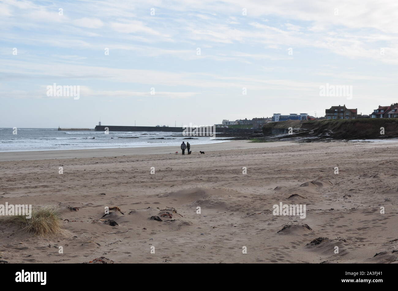 Harbour pier light, Seahouses Stock Photo - Alamy