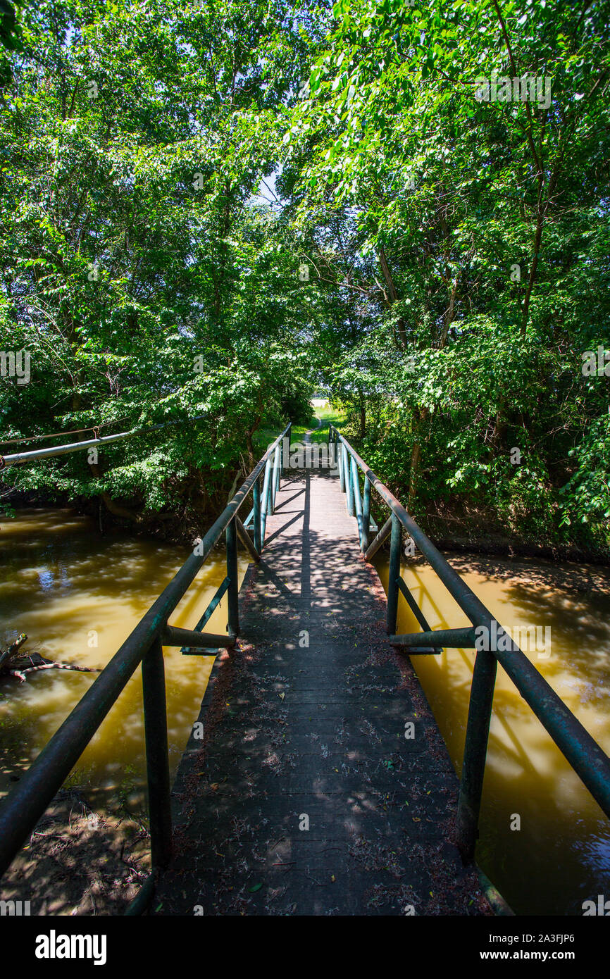 Bridge over the river in the forest Stock Photo - Alamy